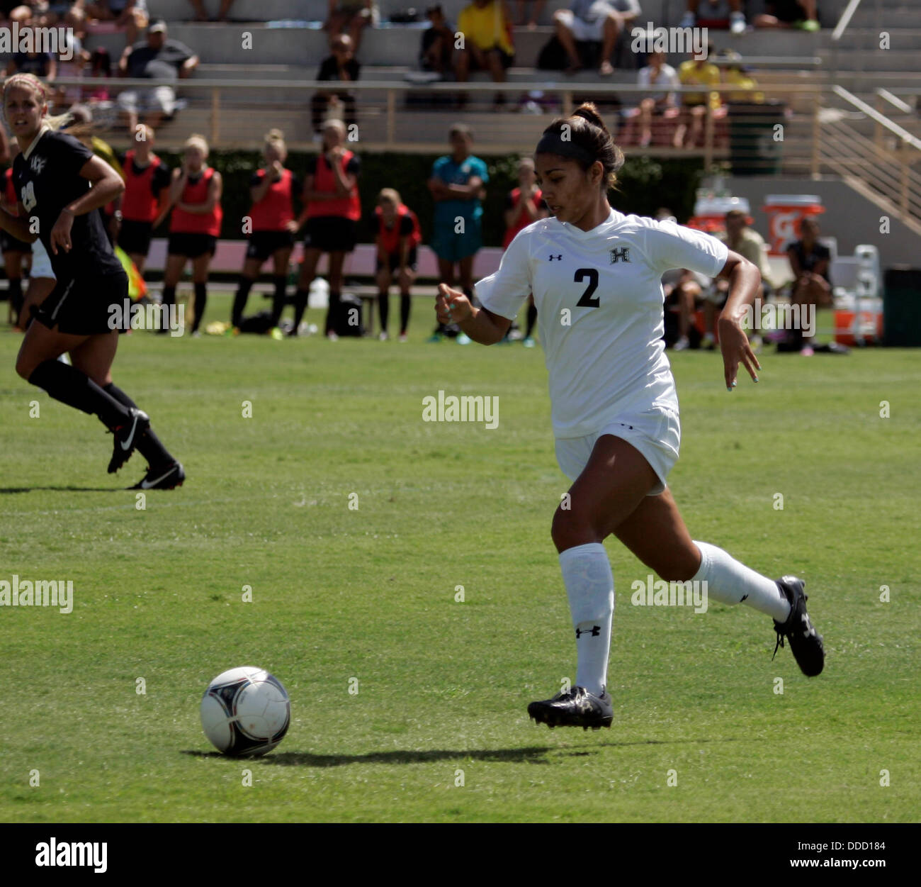 Wahine storm hi-res stock photography and images - Alamy