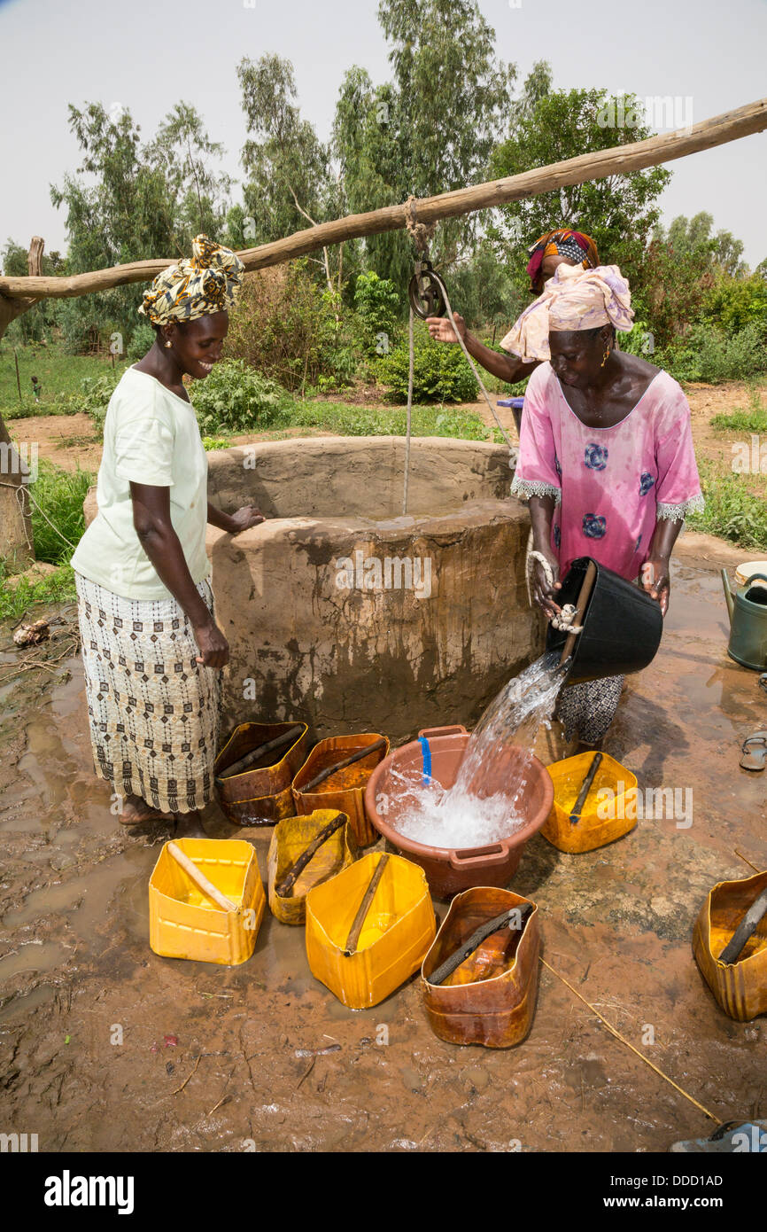 Wolof Women Drawing Water from Well to Irrigate Vegetable Garden ...