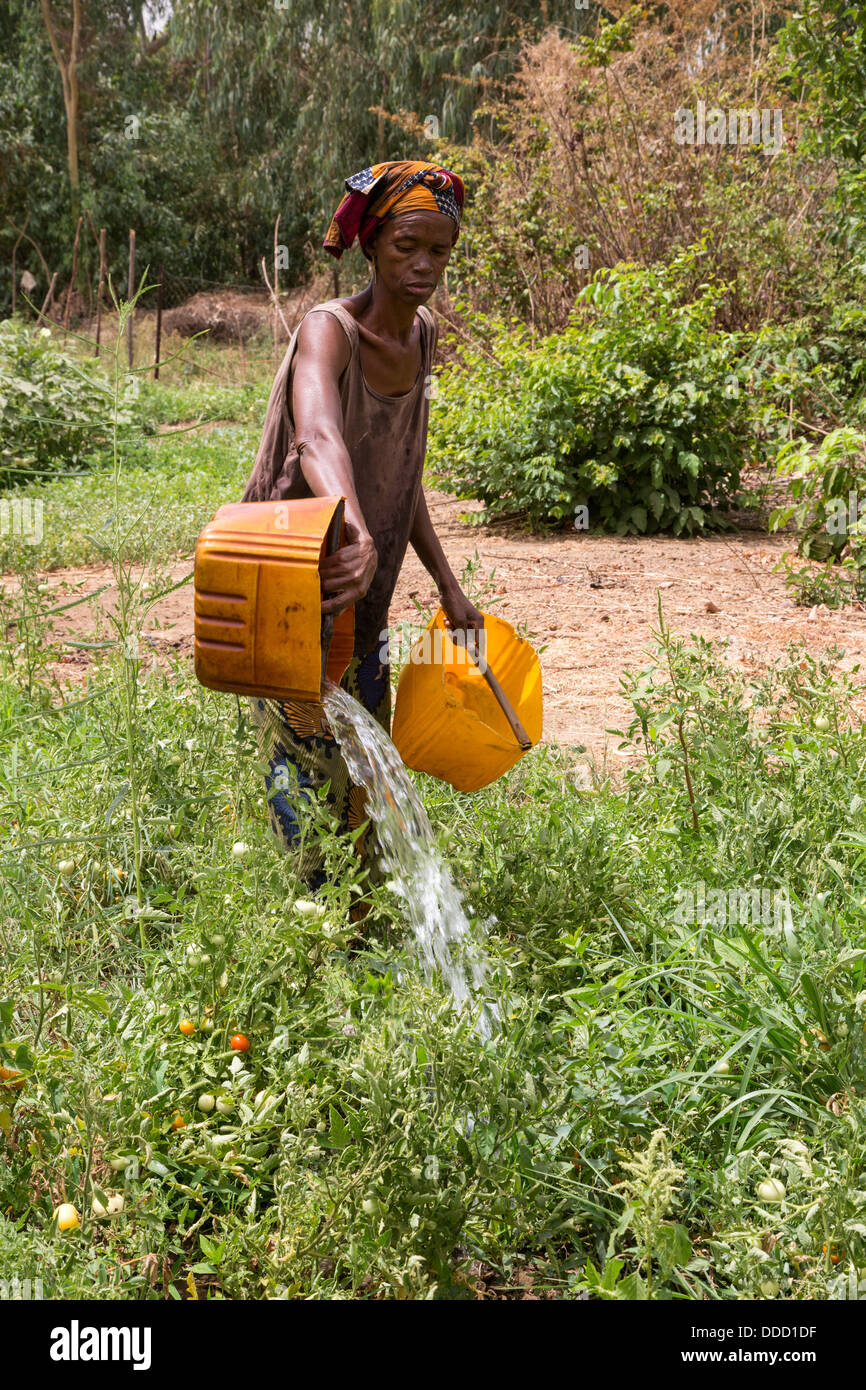 Wolof woman senegal hi-res stock photography and images - Alamy