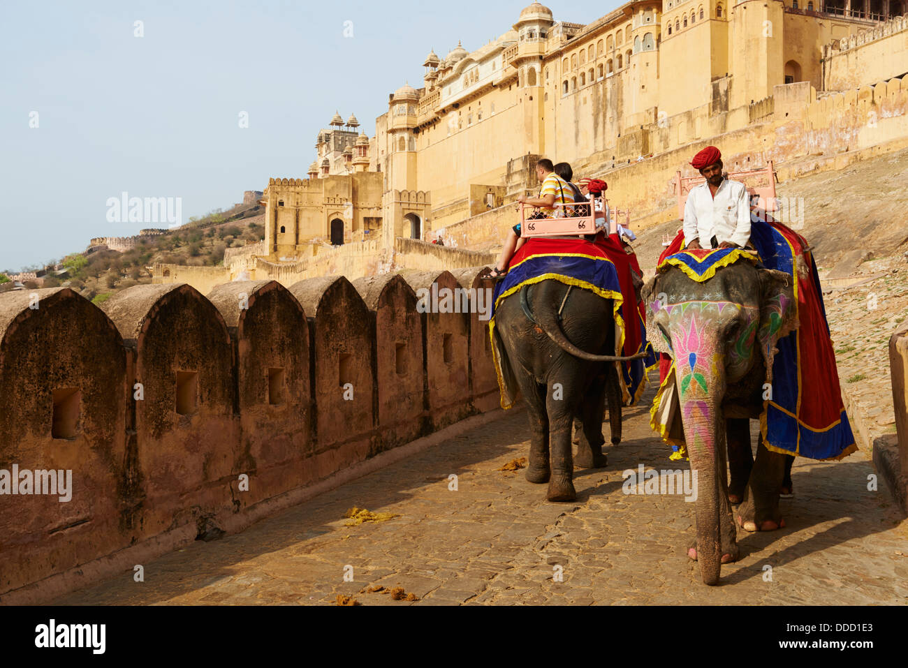India, Rajasthan, Jaipur the pink city, Amber fort Stock Photo - Alamy
