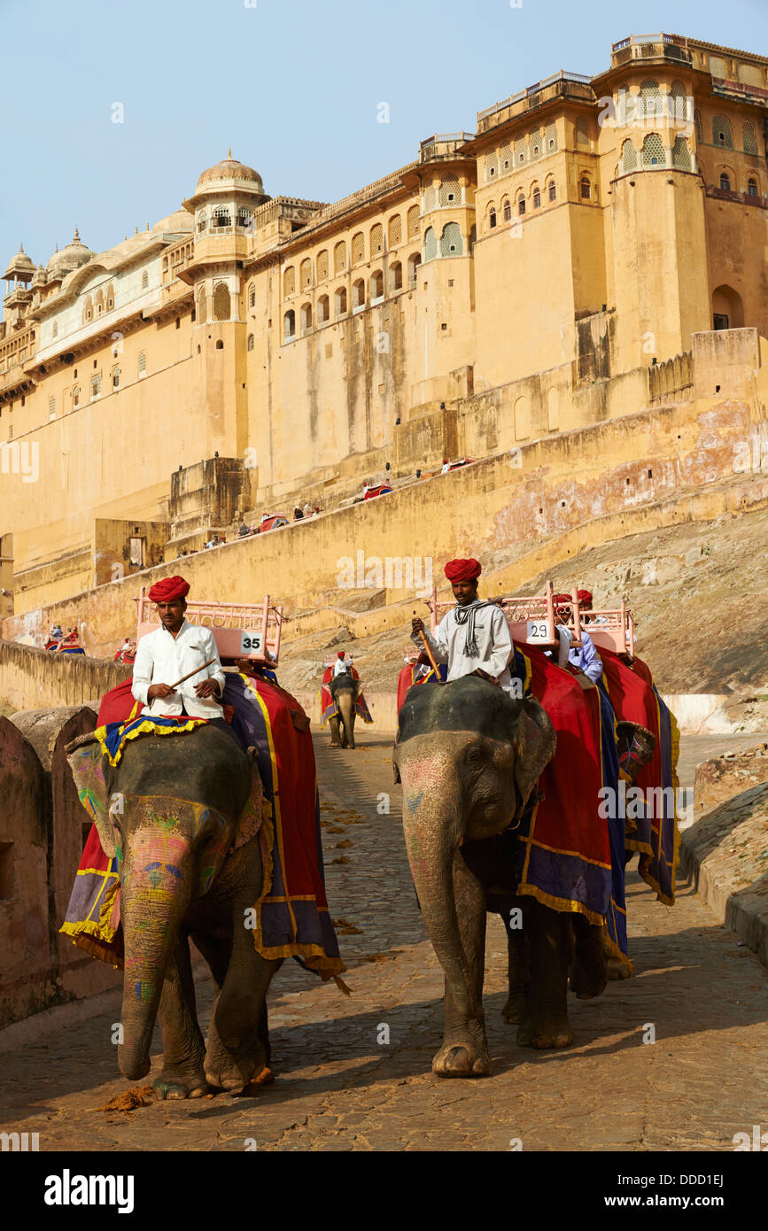 India, Rajasthan, Jaipur the pink city, Amber fort Stock Photo - Alamy
