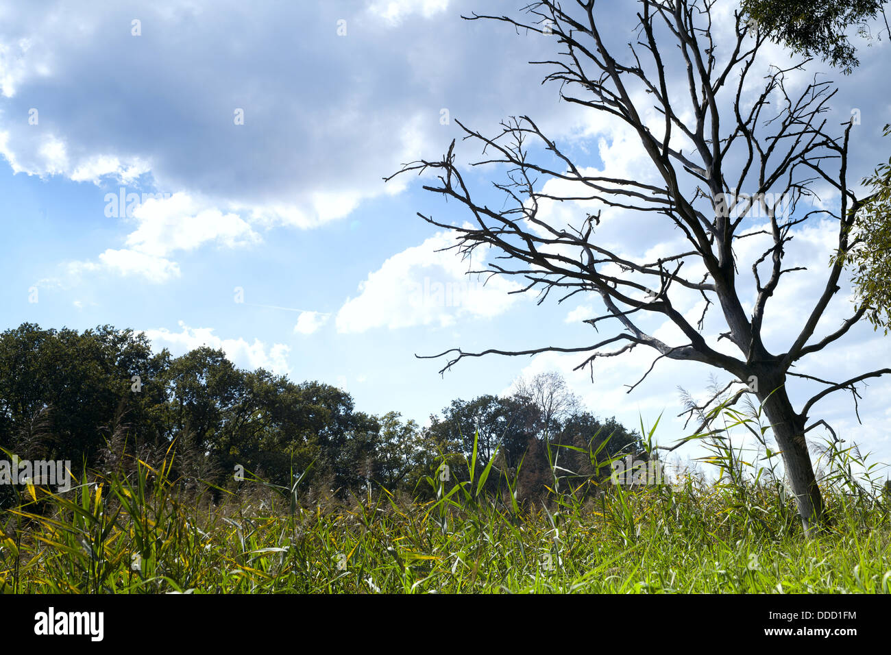 Environment degradation hi-res stock photography and images - Alamy