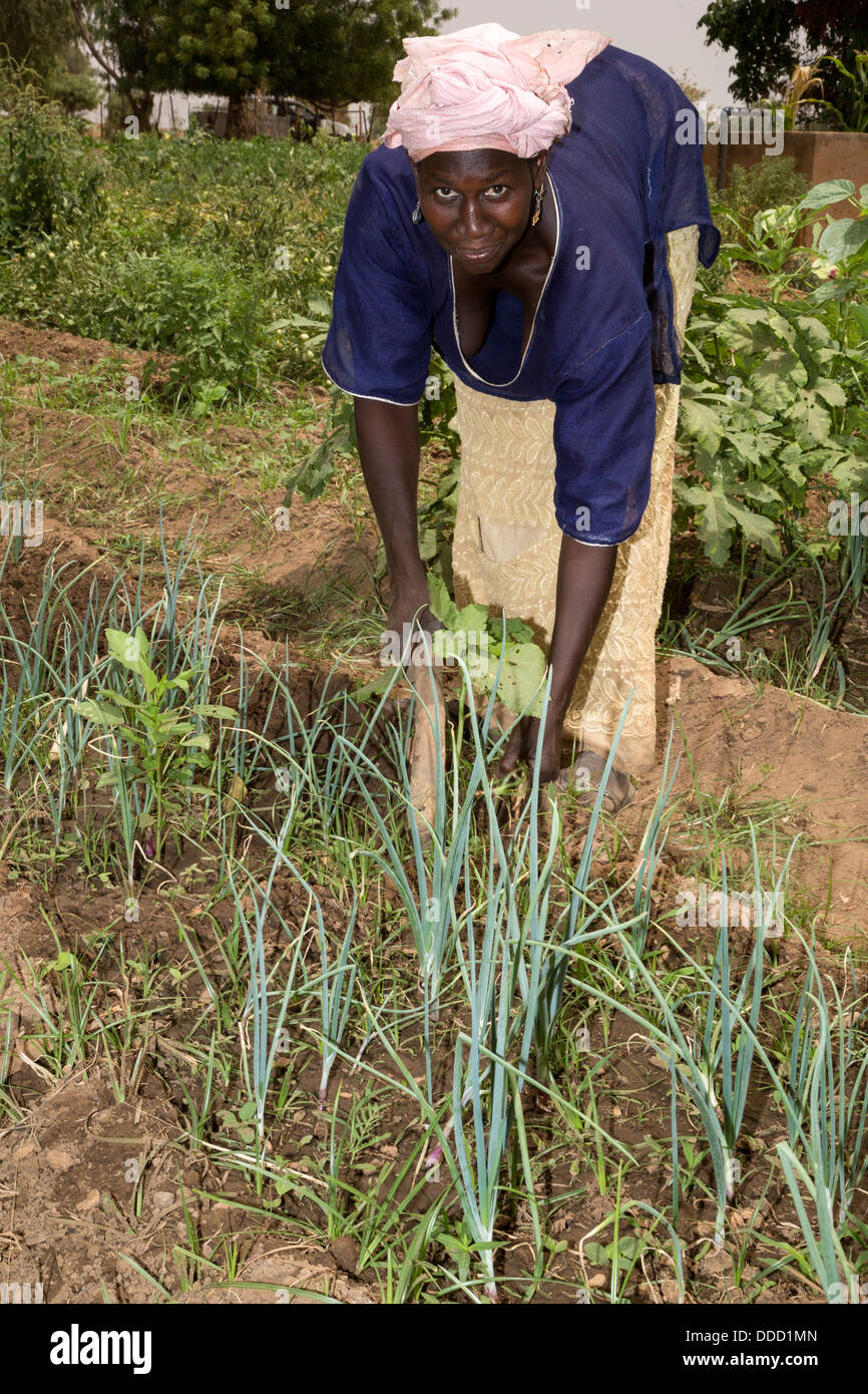 Woman hoeing garden hi-res stock photography and images - Alamy