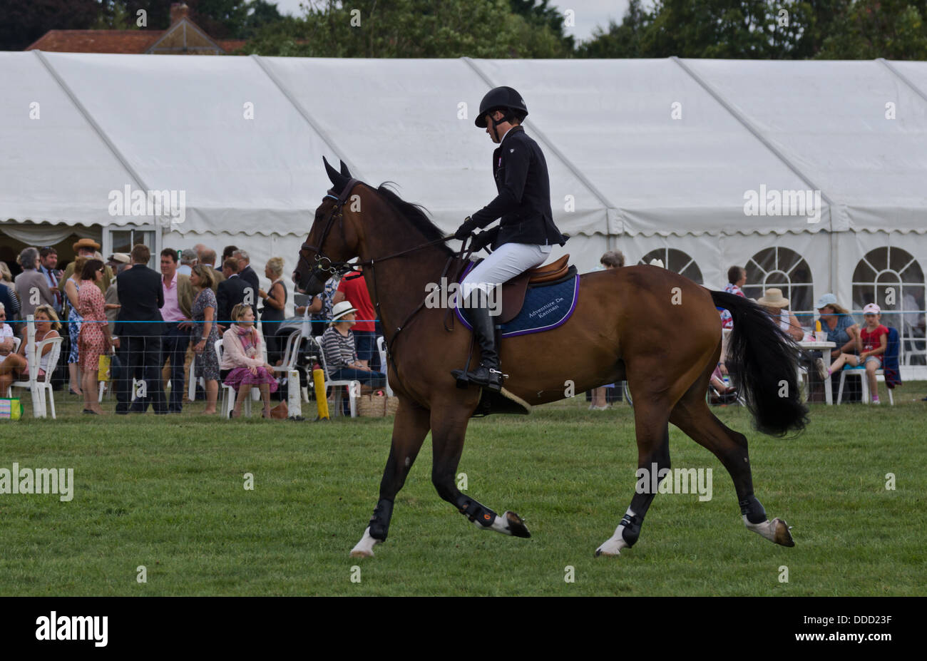 Equestrian horse show jumping at Weedon Buck's County show. A male ...