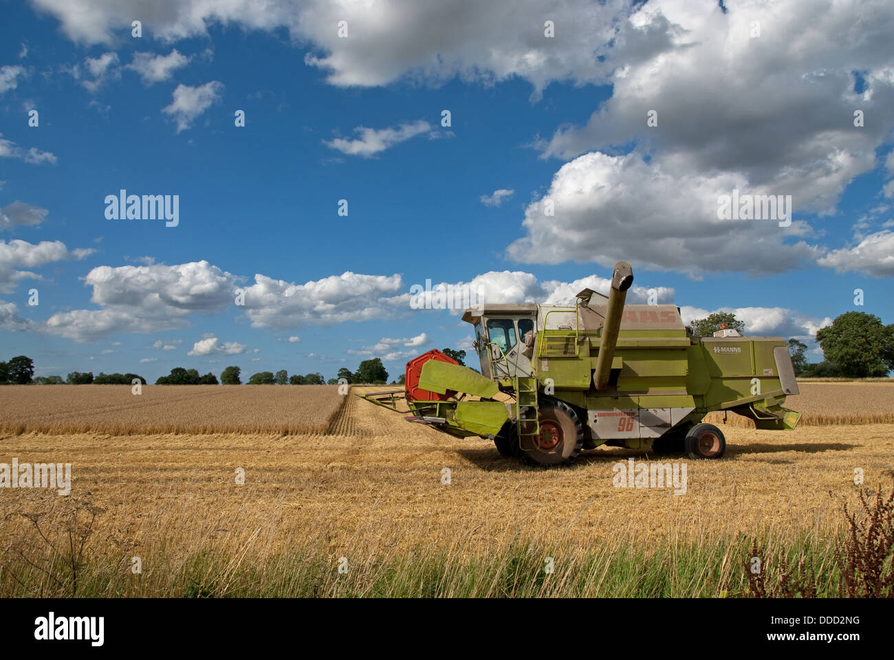 Combine harvester cutting field of barley Stock Photo - Alamy