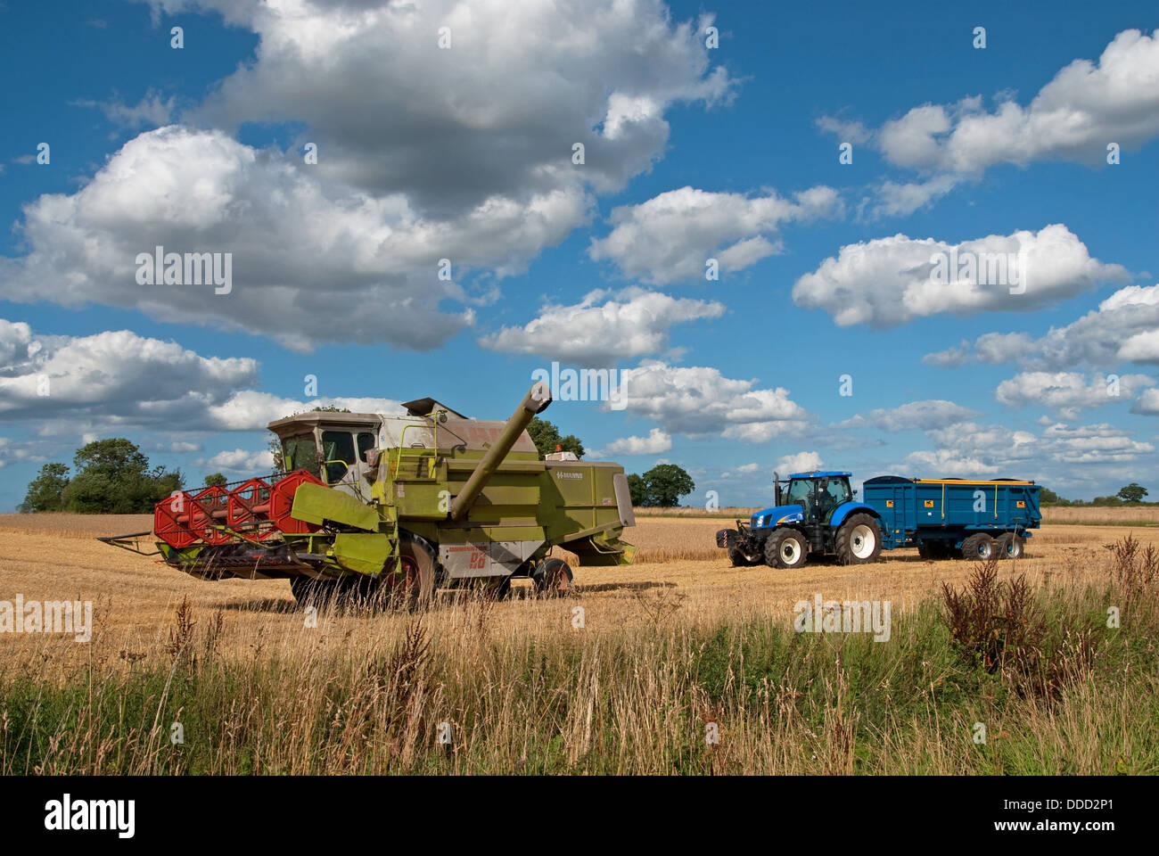 Combine harvester cutting field of barley Stock Photo - Alamy