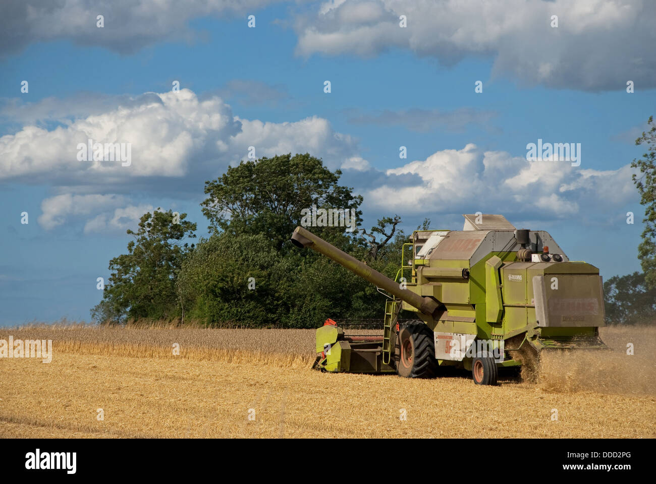 Combine harvester cutting field of barley Stock Photo - Alamy
