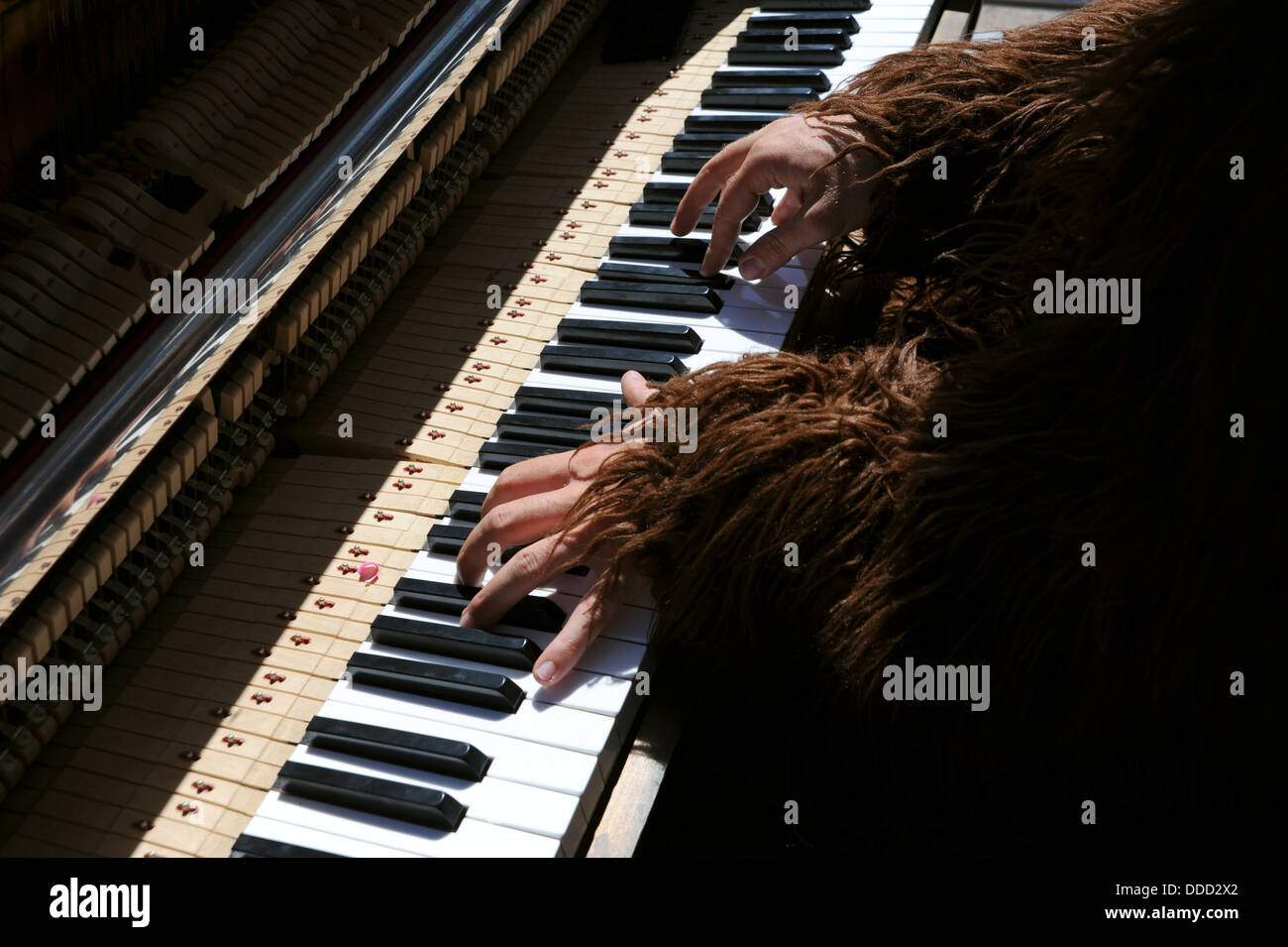 Rowlf the dog hi-res stock photography and images - Alamy