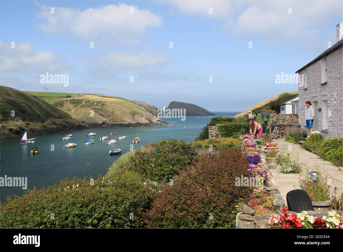 Abercastle bay, Pembrokeshire, Wales, Great Britain, United Kingdom, UK ...