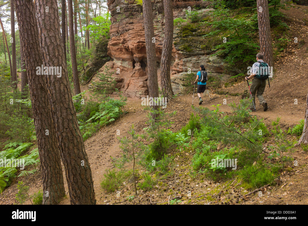 Along the Dahner Felsenpfad near Dahn Palatinate Germany Stock Photo ...