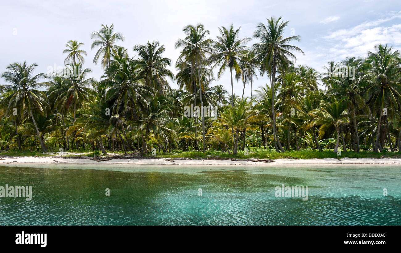 Tall palm trees fringe a narrow beach in the Dutch Keys of Panama Stock ...