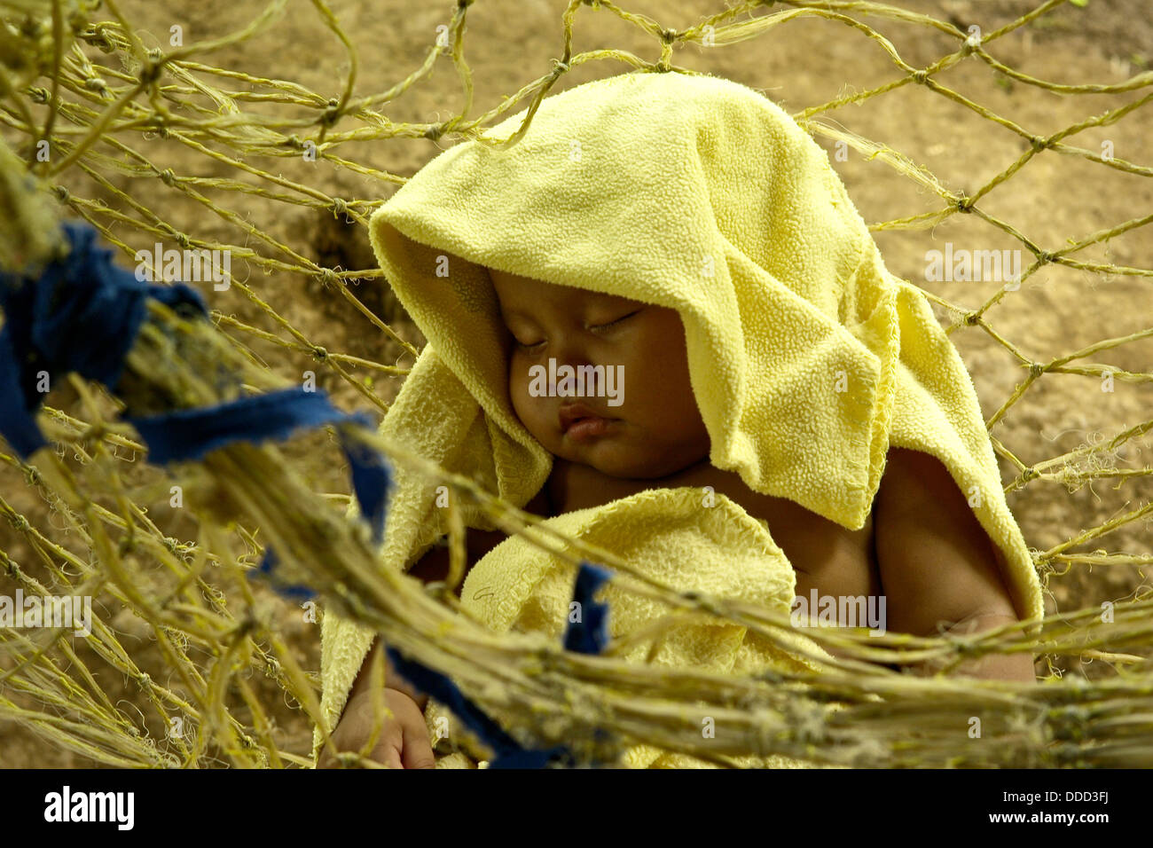 An indigenous Ngobe Bugle baby sleeps in a hammock Stock Photo - Alamy