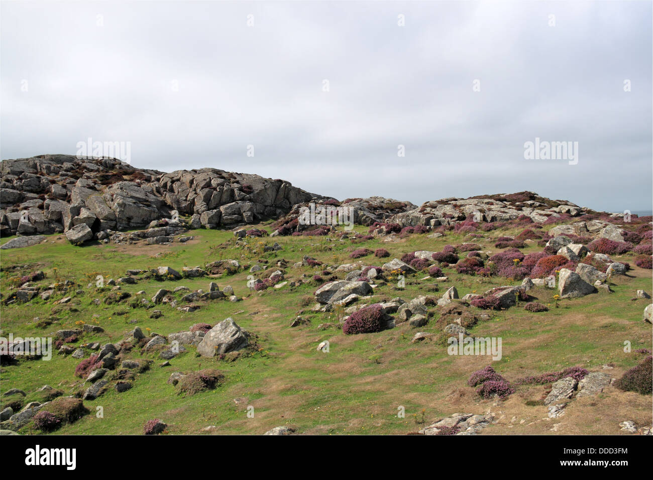 Roundhouse foundations at the Iron Age Fort, St David's Head ...