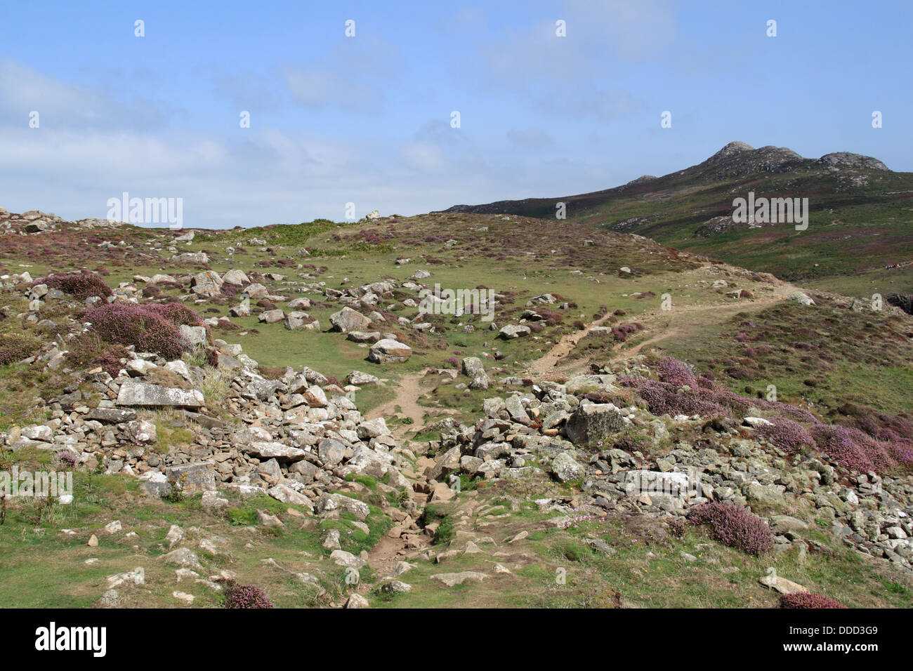 Warriors dyke hi-res stock photography and images - Alamy