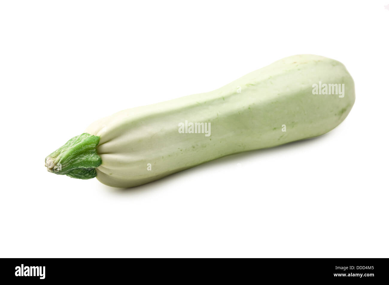 zucchini isolated on white background Stock Photo - Alamy
