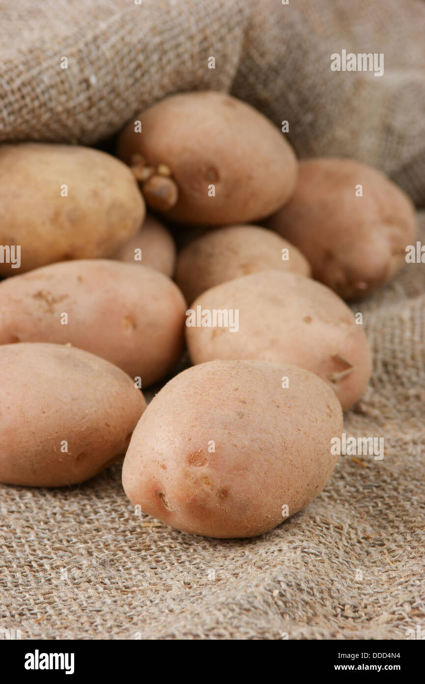 pile of potatoes Stock Photo - Alamy