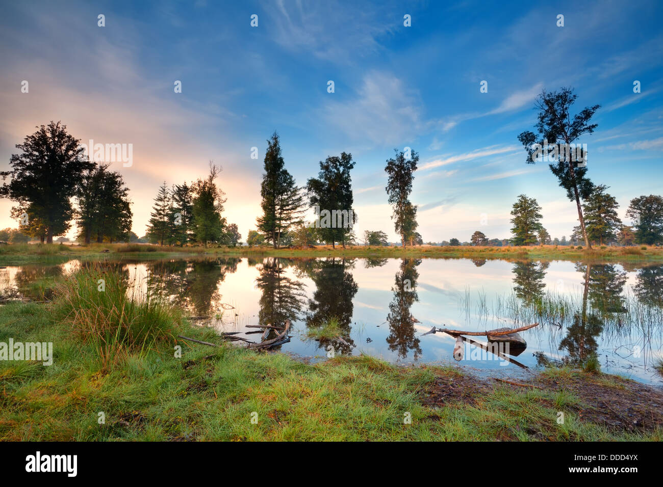 little wild lake and blue morning sky, Drents -Friese wold, Netherlands ...