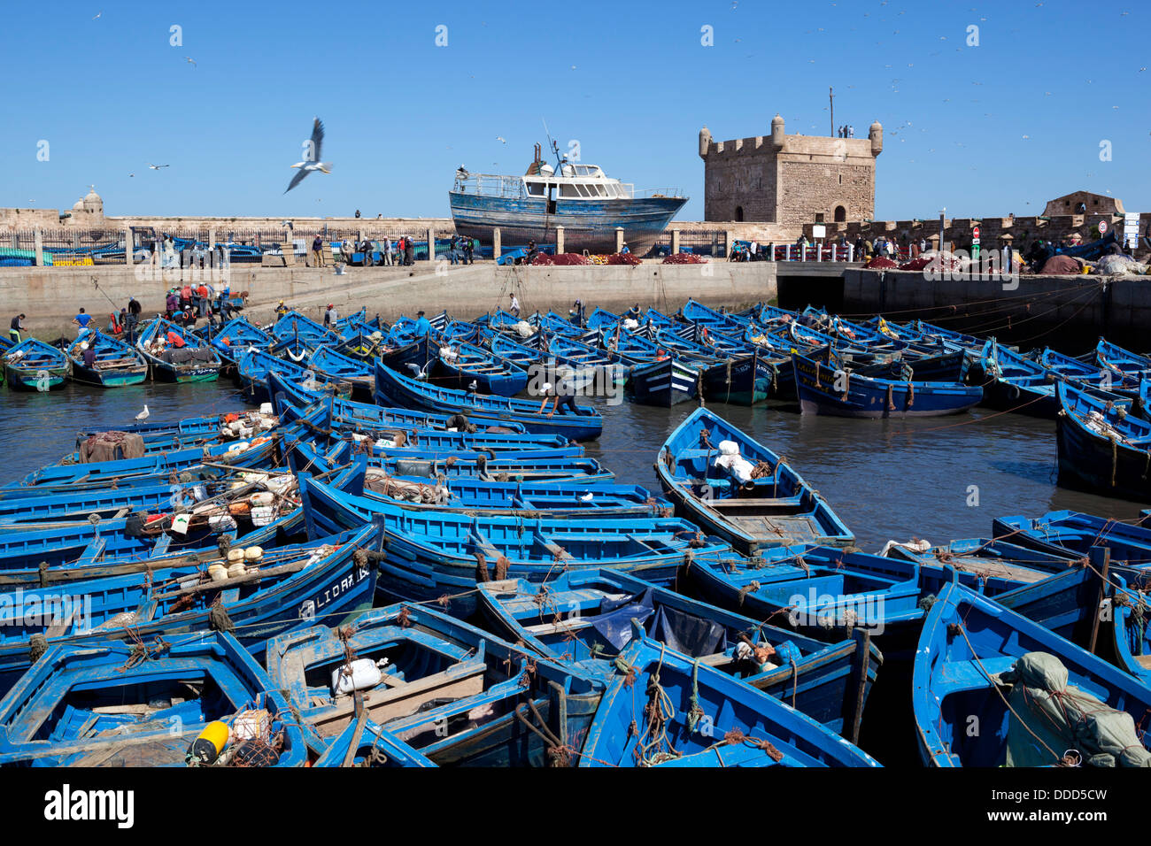 Traditional moroccan boats hi-res stock photography and images - Alamy