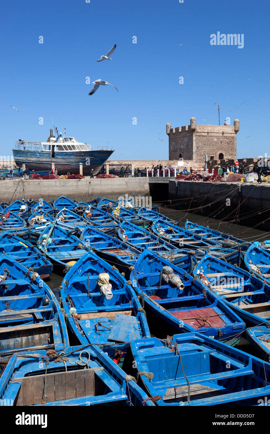 Fishing port with traditional boats in front of the old fort Stock ...