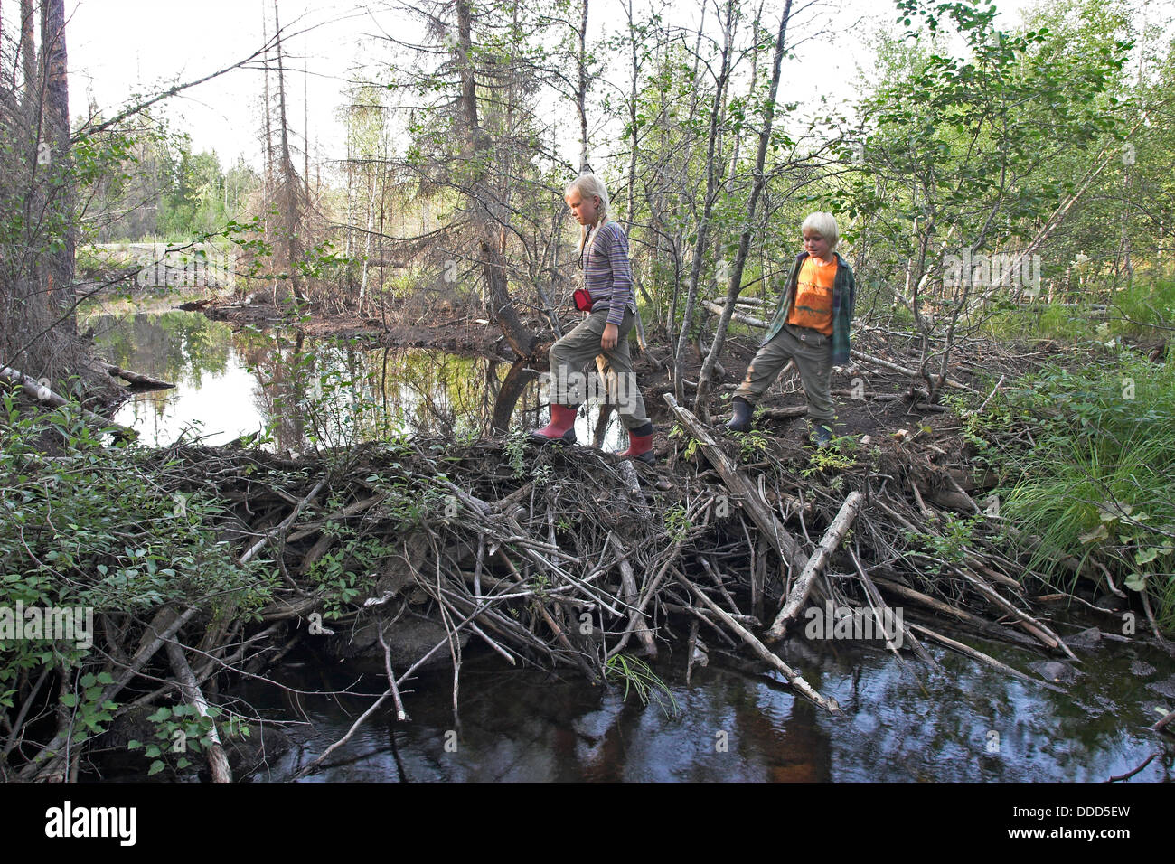 Biberdamm hi-res stock photography and images - Alamy