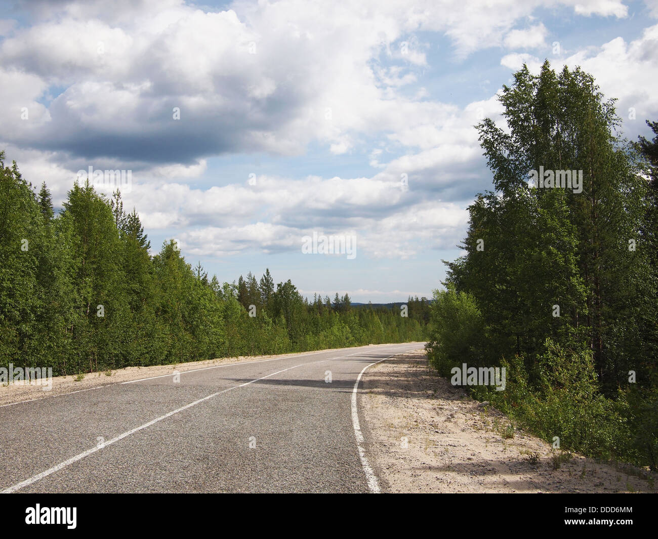 road in beautiful green forest Stock Photo - Alamy