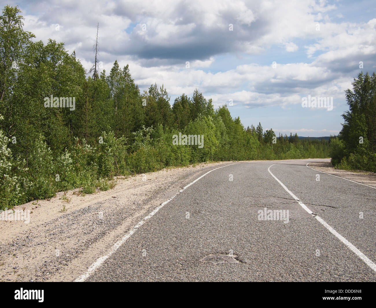 road in beautiful green forest Stock Photo - Alamy