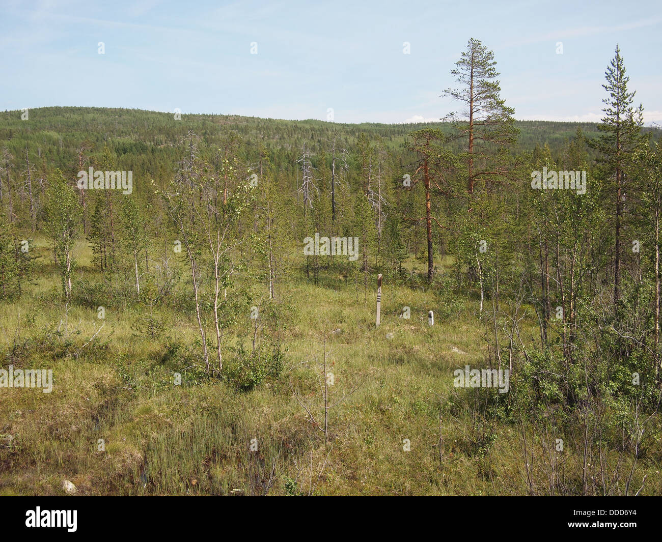 Karelian landscape hi-res stock photography and images - Alamy