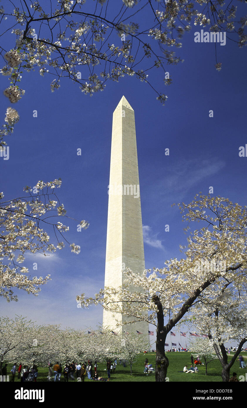 George washington cherry hi-res stock photography and images - Alamy