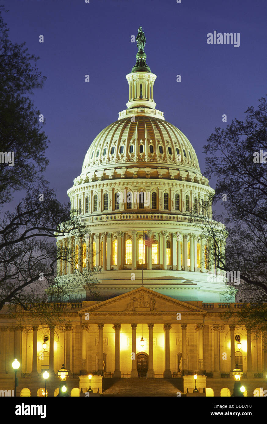 The Capitol Building, Washington, DC, North America Stock Photo - Alamy