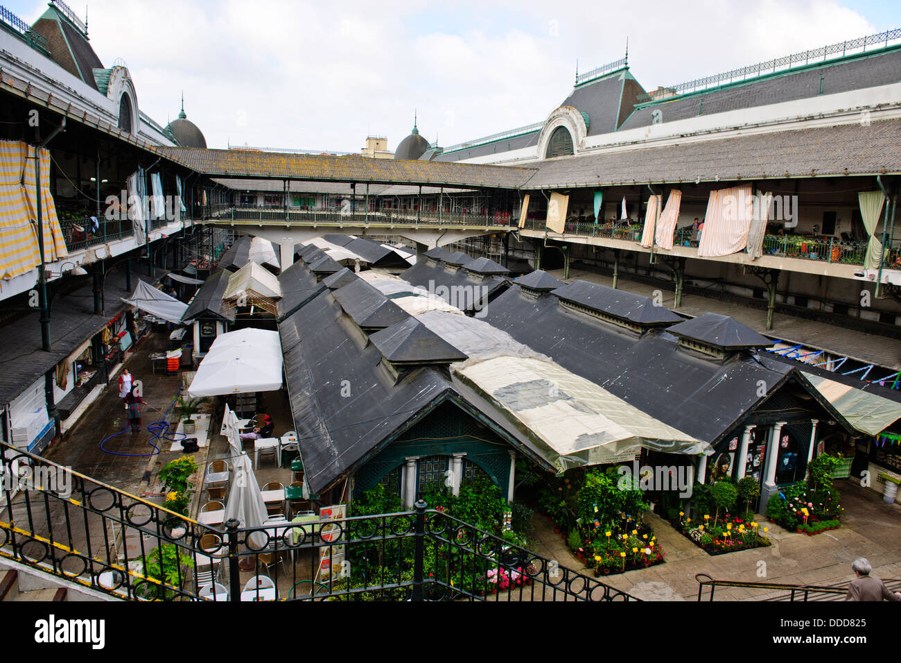 Fresh Vegetables,Meat,Flowers,Fish Market in the Centre of the City ...
