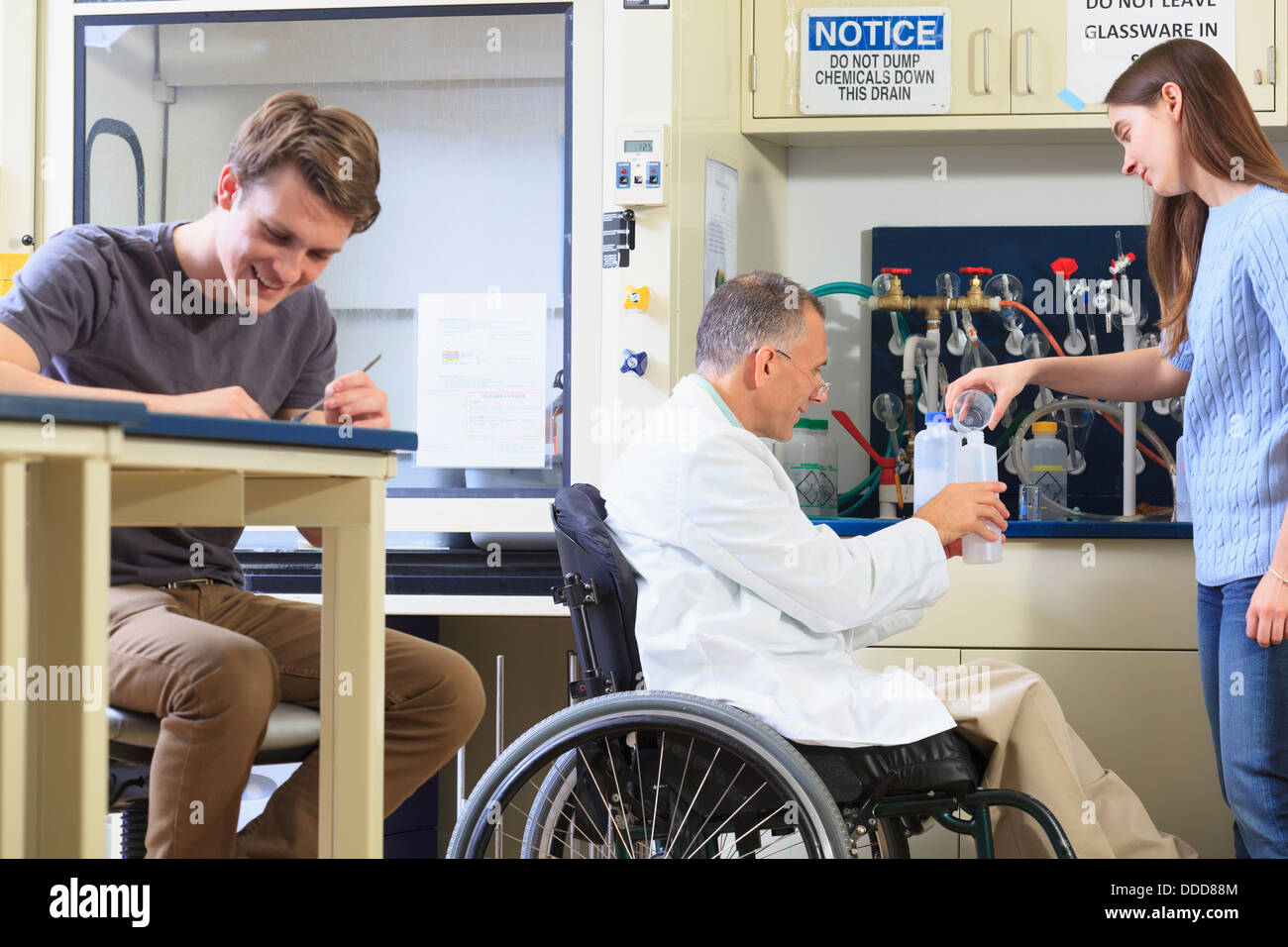 Professor spinal cord injury in wheelchair working students in an ...