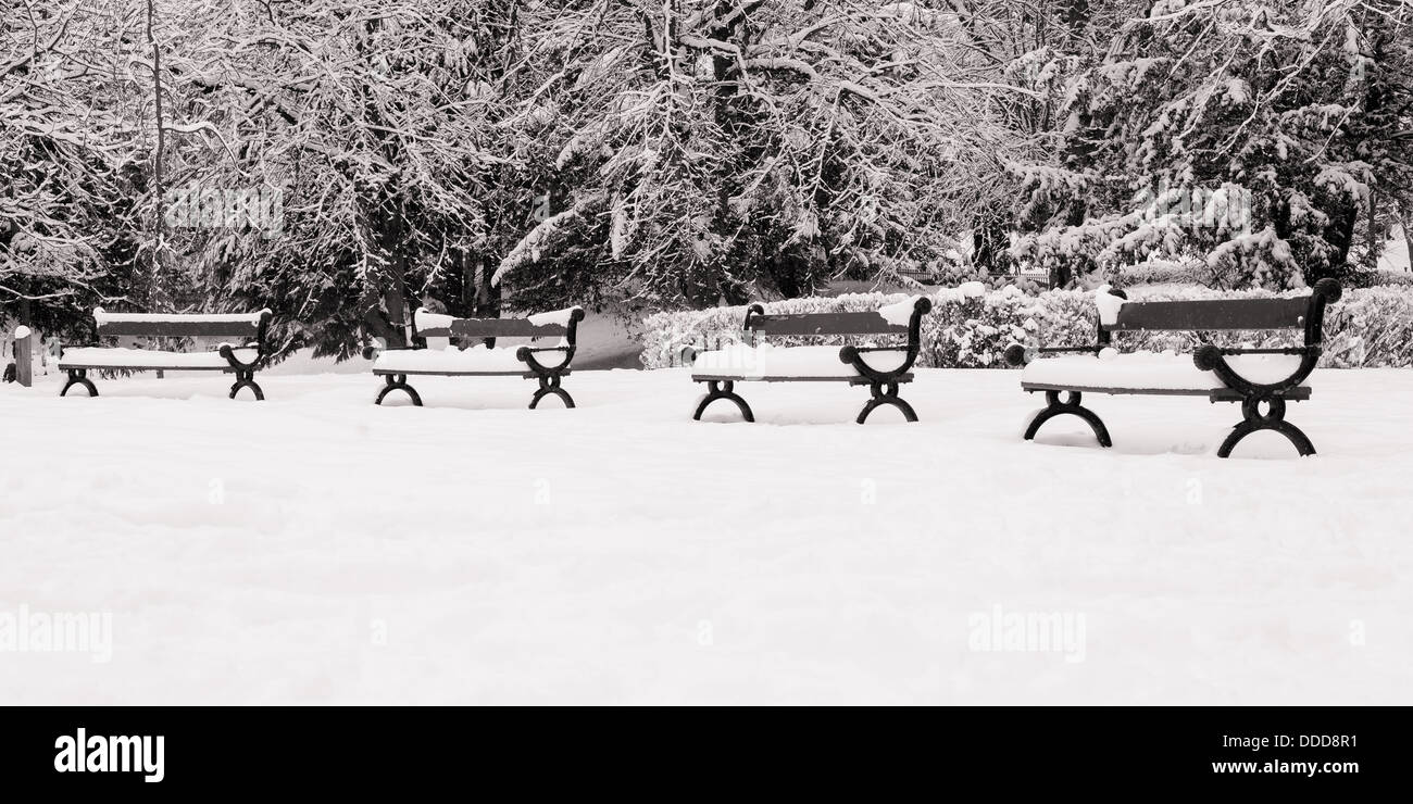 Paths covered in snow hi-res stock photography and images - Alamy