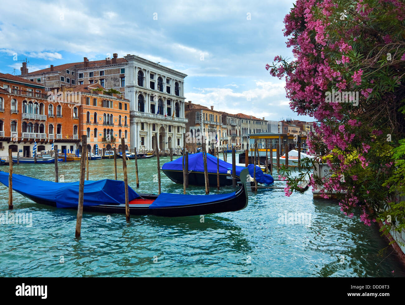 Nice summer venetian Grand Canal view with gondolas on water (Venice ...