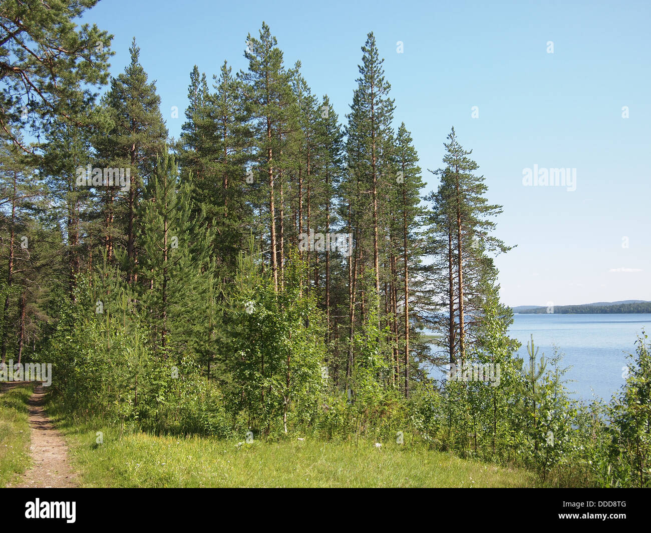Beach lake Stock Photo - Alamy