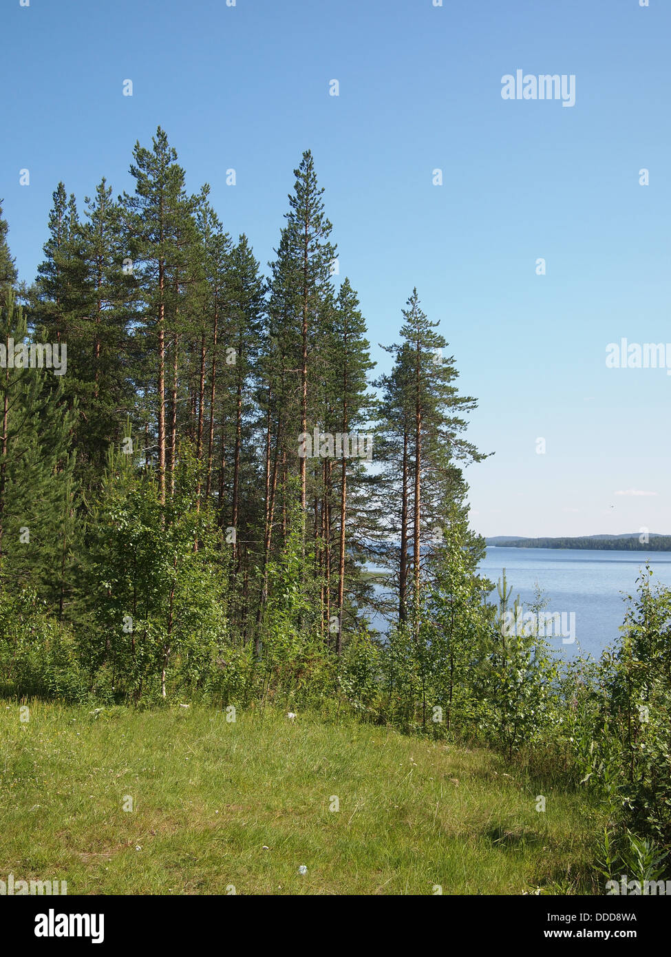 Beach lake Stock Photo - Alamy
