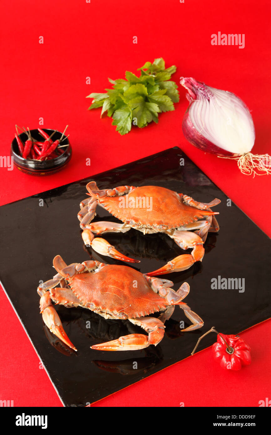 Atlantic blue crabs Stock Photo - Alamy