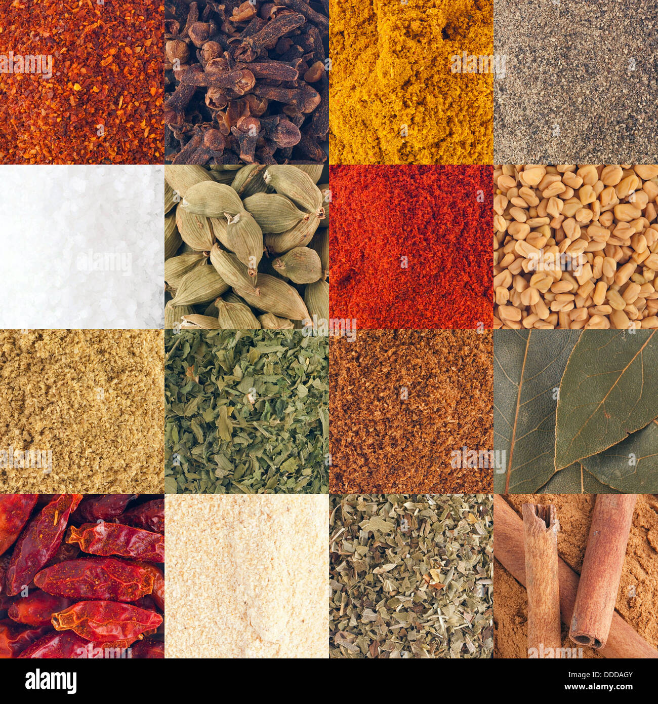 collection of 16 spices Stock Photo - Alamy