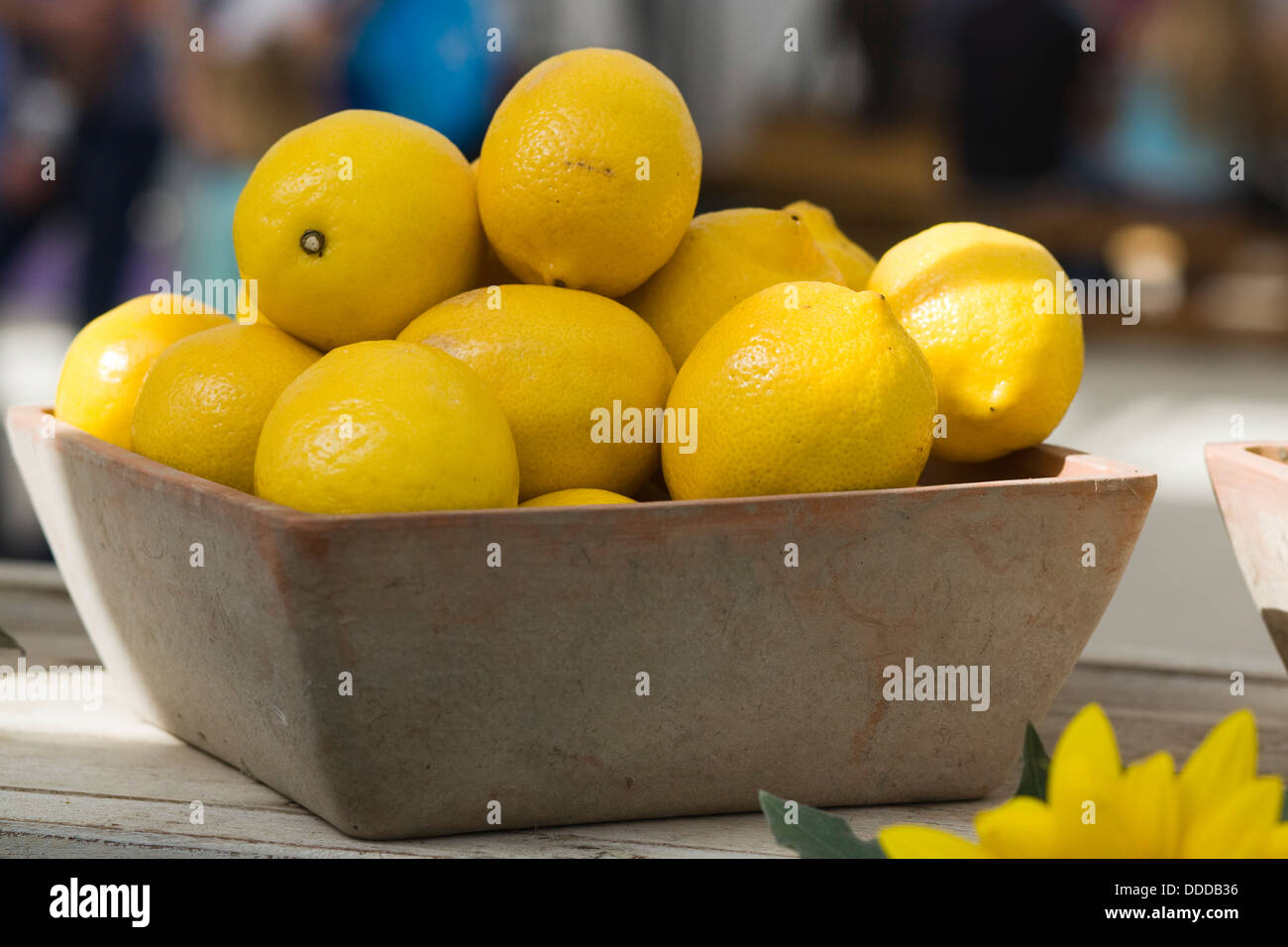Citrus growing container hi-res stock photography and images - Alamy