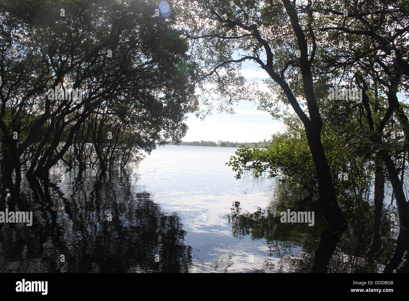 River alcove hi-res stock photography and images - Alamy