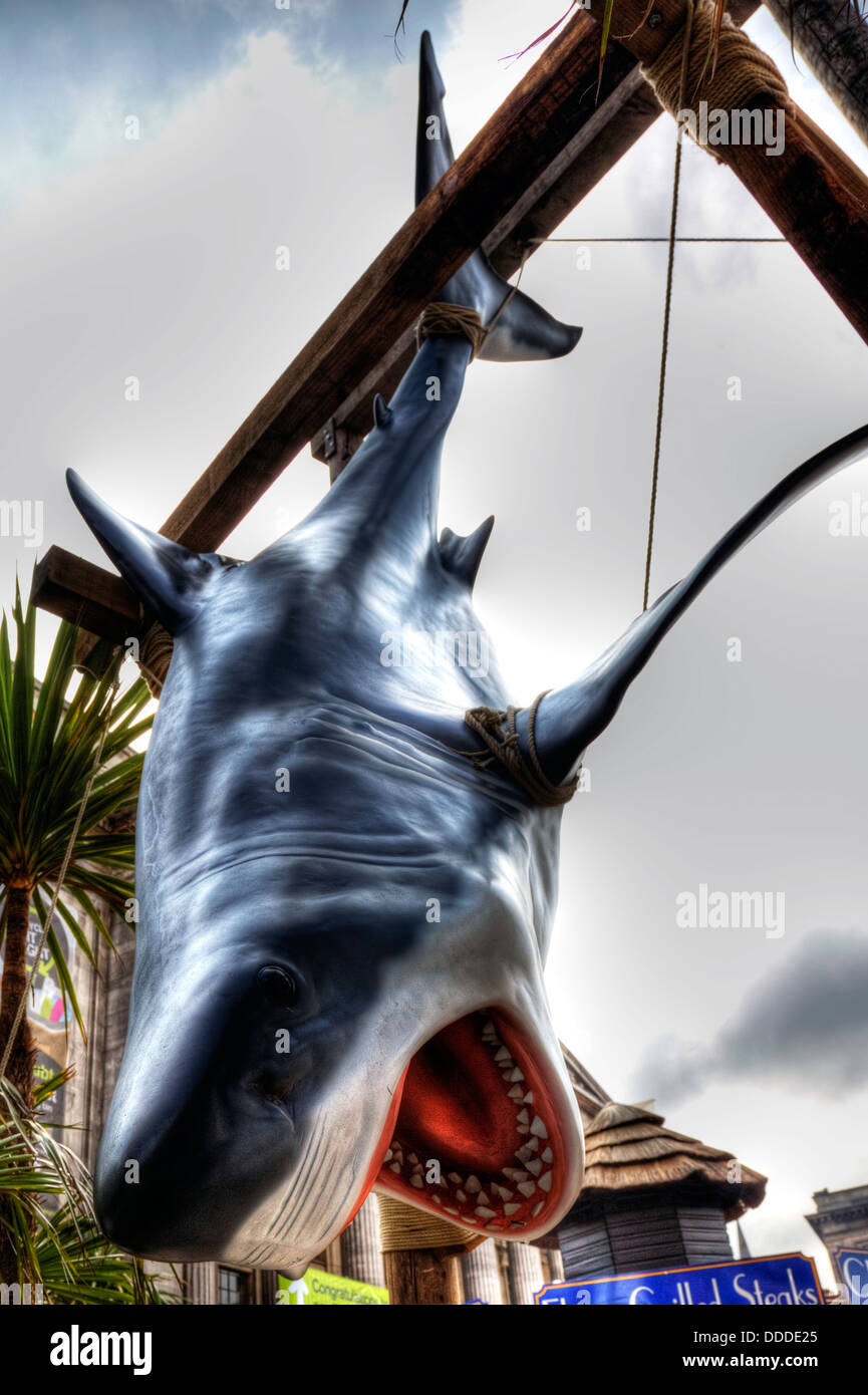 Plastic great white shark showing teeth hanging from a beam Nottingham ...