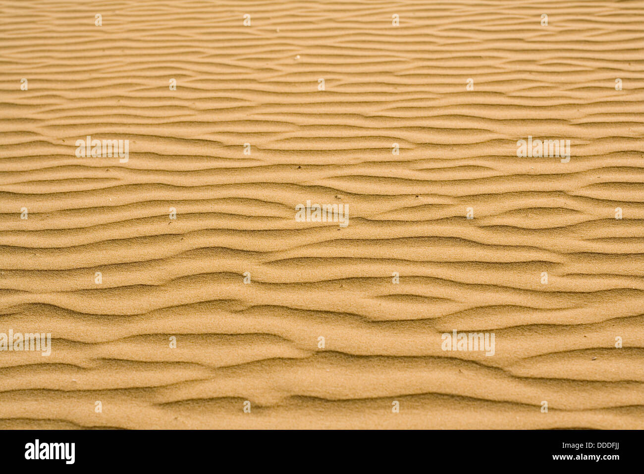 Sand surface hi-res stock photography and images - Alamy