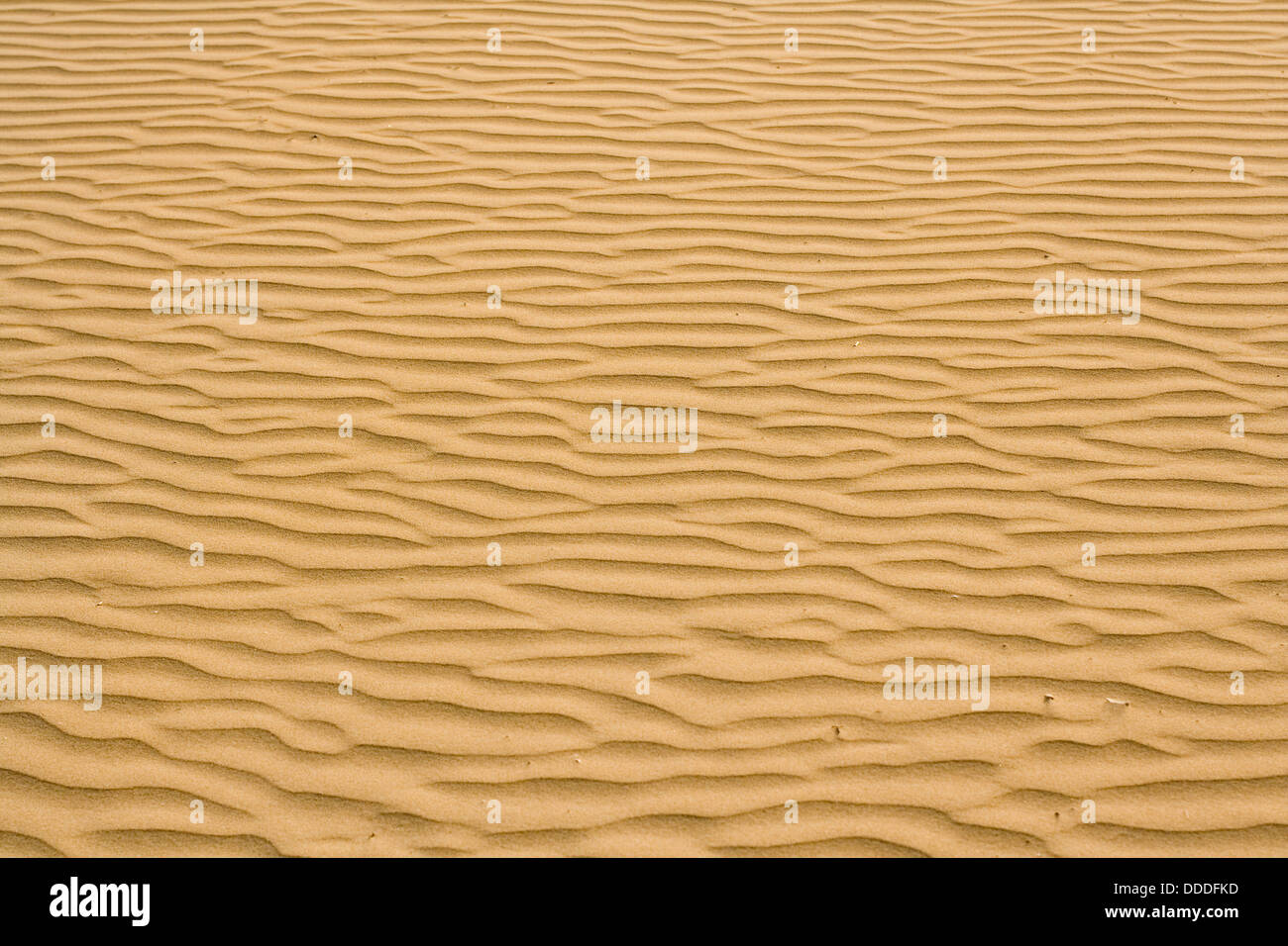 Sand surface hi-res stock photography and images - Alamy