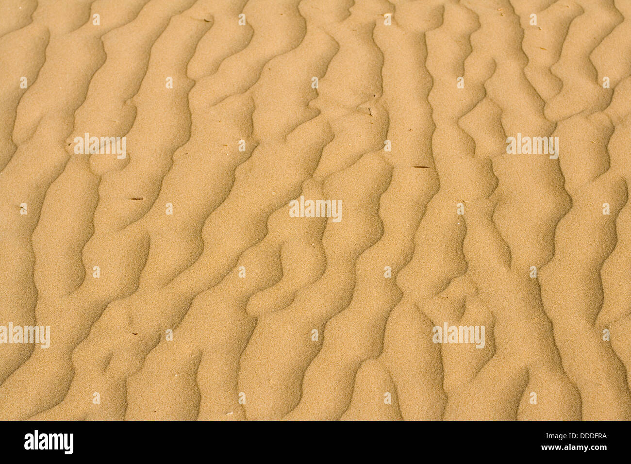 Sand surface hi-res stock photography and images - Alamy