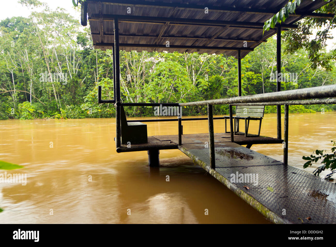 Dock for tourist canoes on an Amazonian river in Ecuador Stock Photo ...