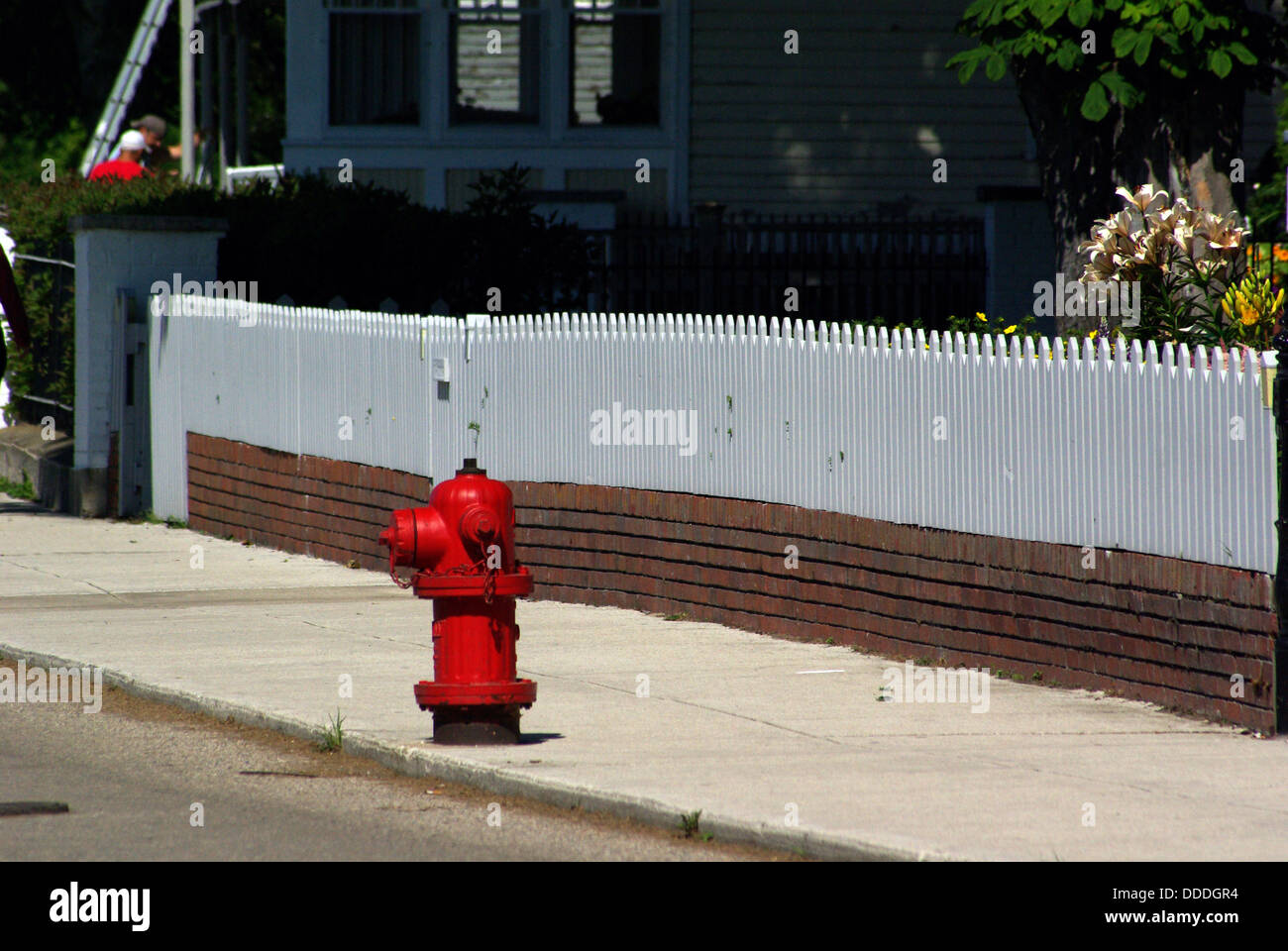 Red fire hydrant outside on a path Stock Photo - Alamy