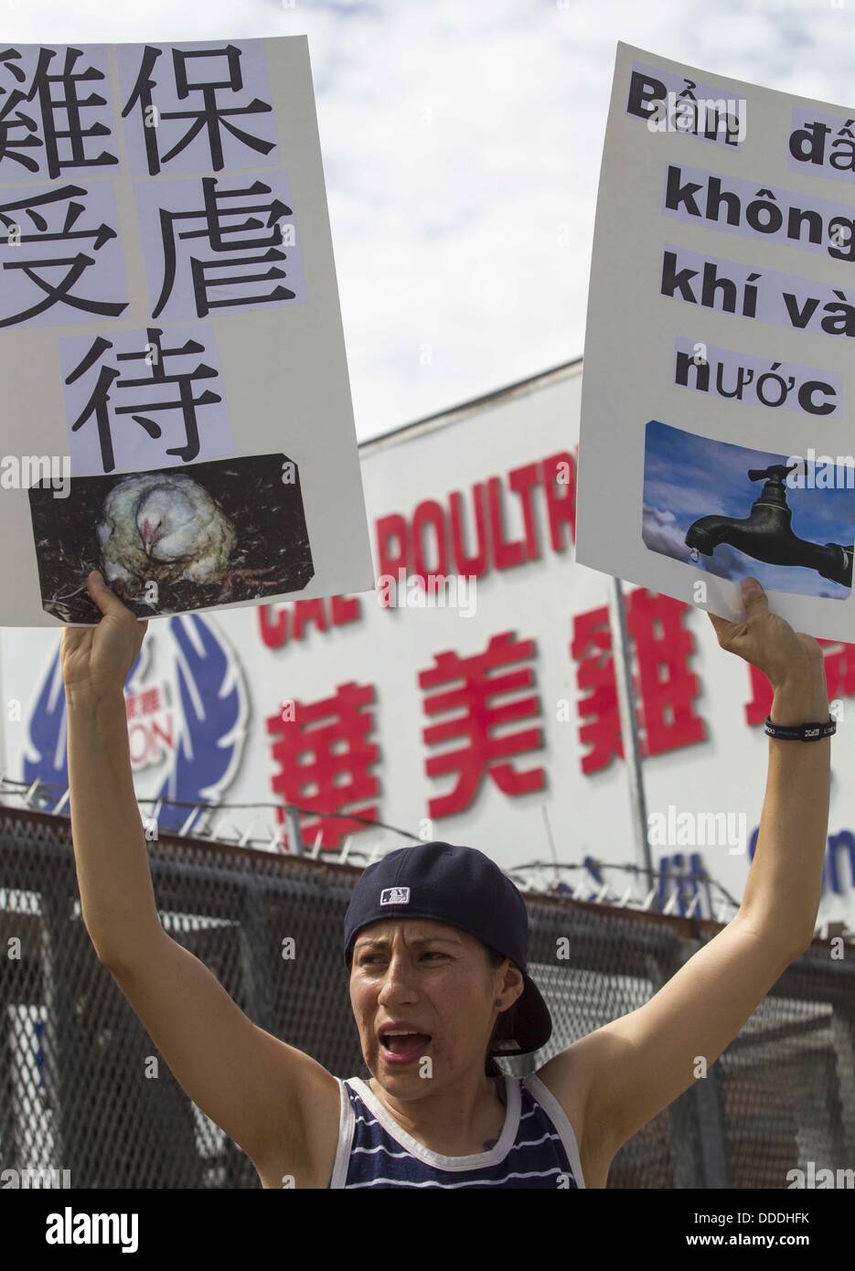 Peta protests hi-res stock photography and images - Alamy