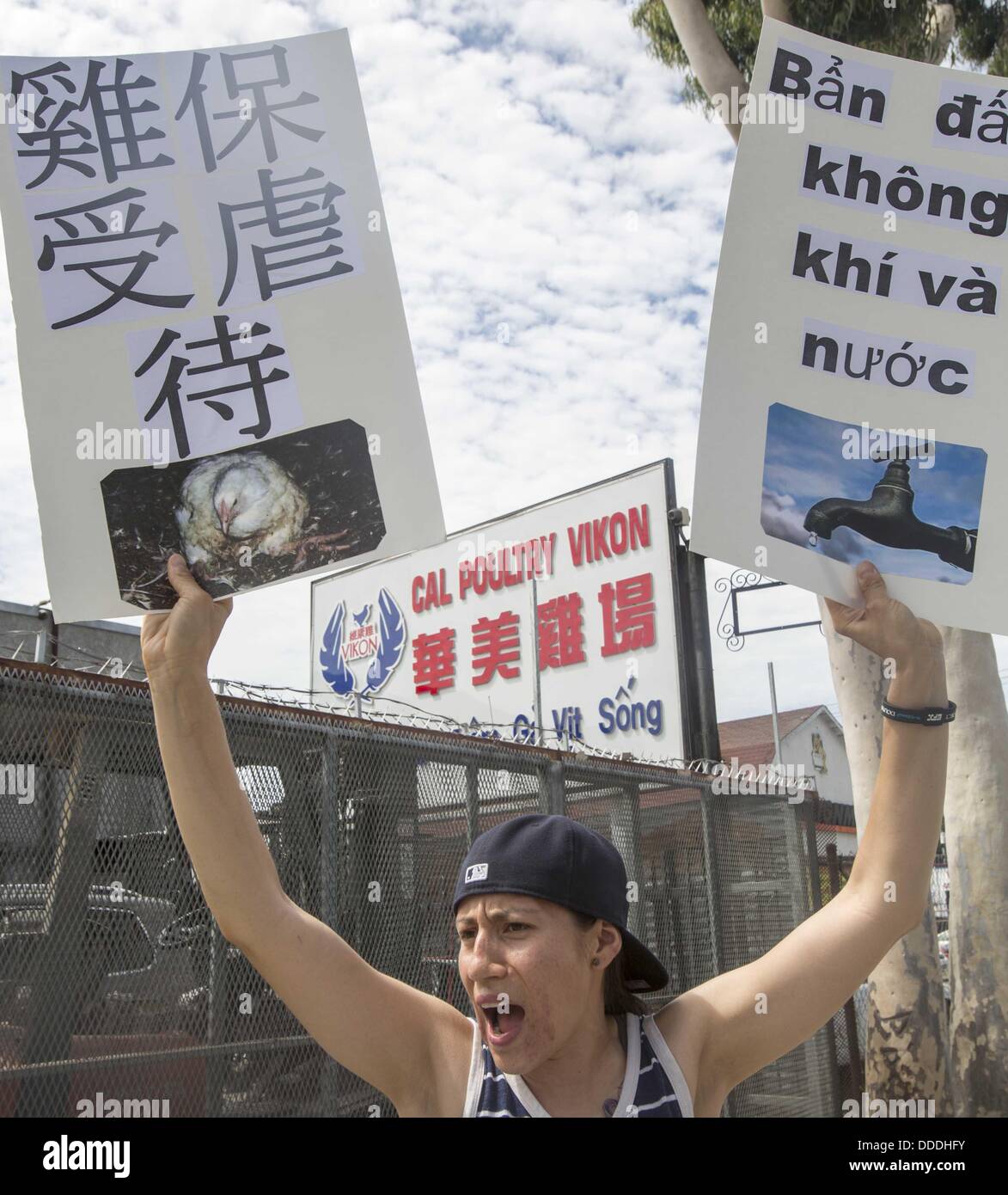 Peta member hi-res stock photography and images - Alamy