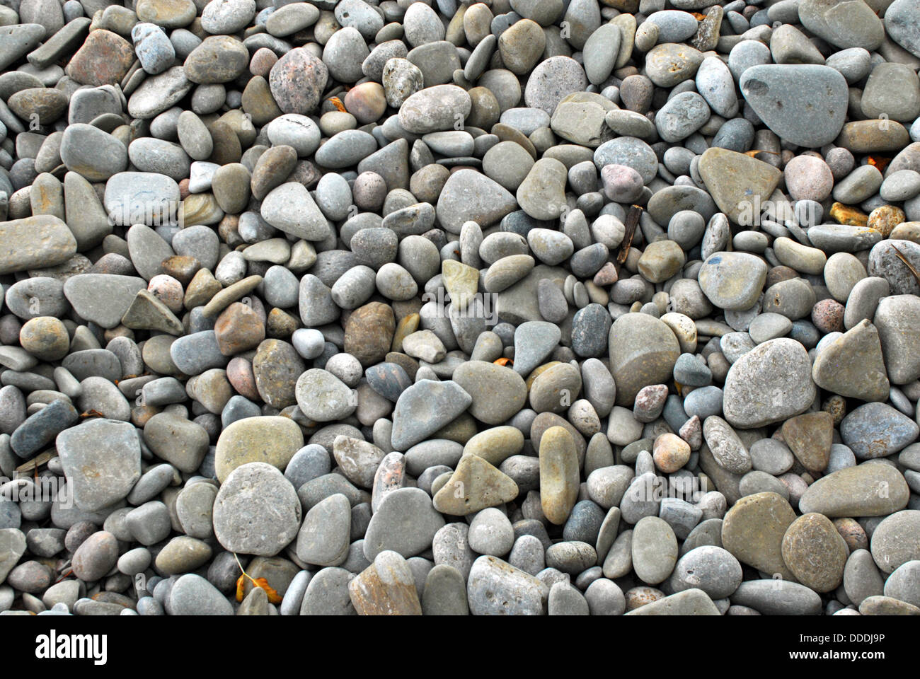 Smooth pebbles and stones background Stock Photo - Alamy