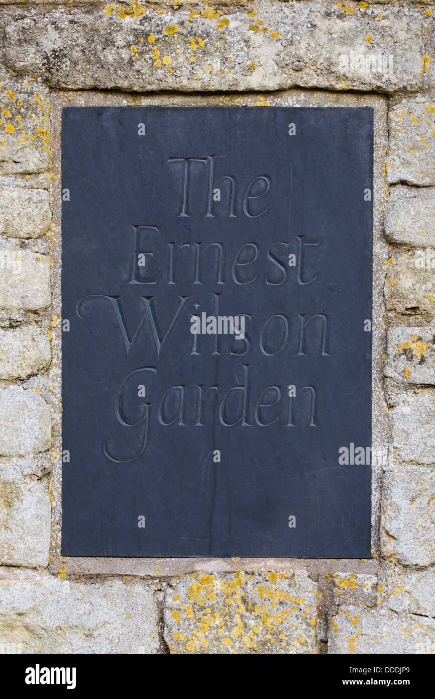 Ernest wilson memorial garden hi-res stock photography and images - Alamy