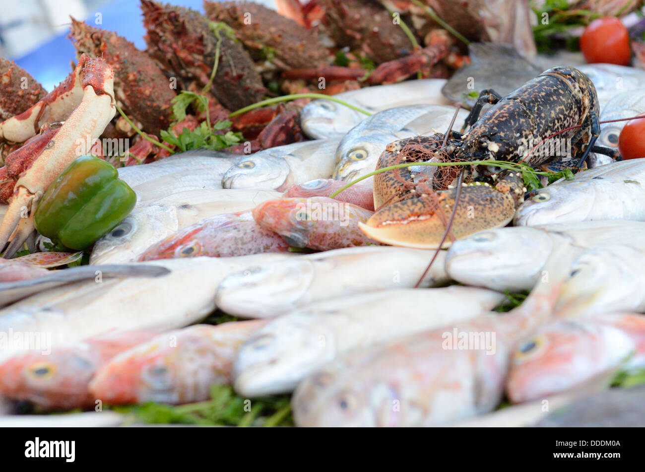 Fish and Seafood Selection in the fishing market, Essaouira Morocco ...